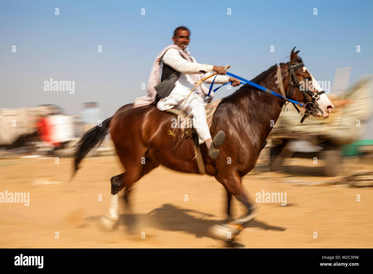 India, Rajasthan, Pushkar, A potential purchaser putting a horse ...