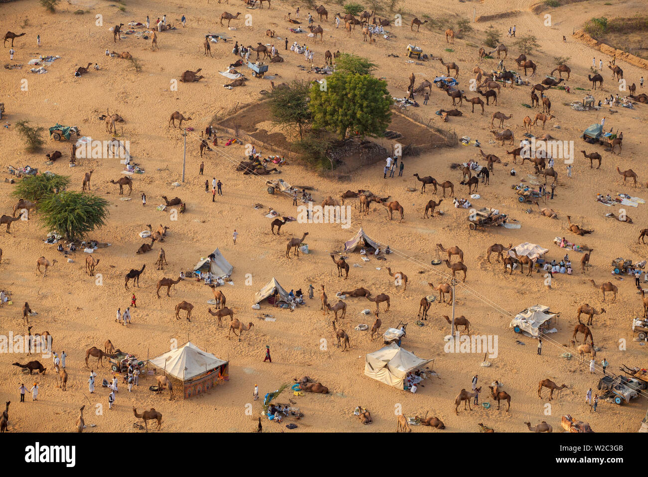 India, Rajasthan, Pushkar, Aerial view of Pushkar Camel Fair Stock ...
