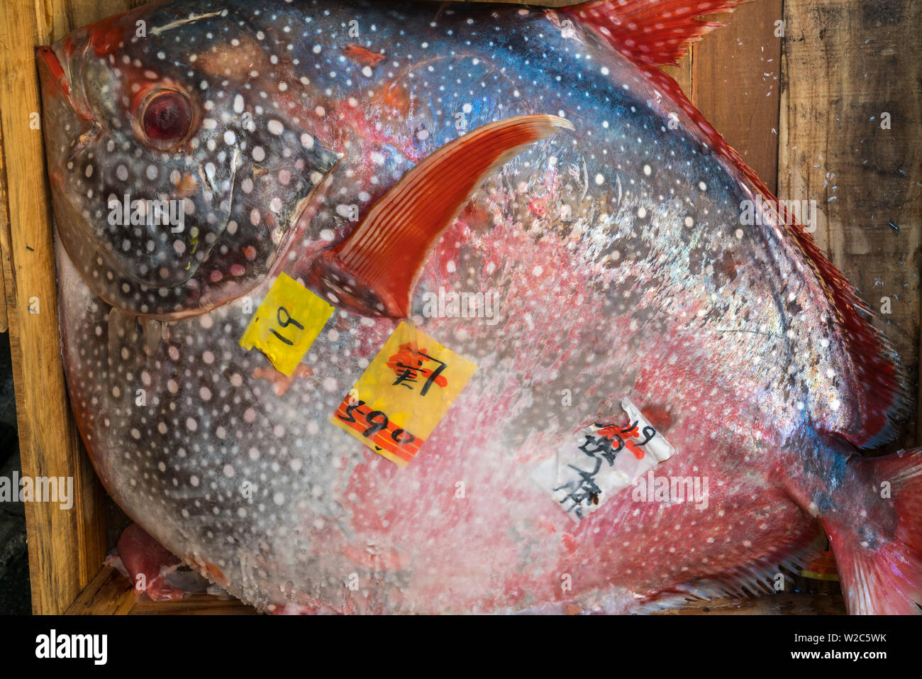 Opah Fish