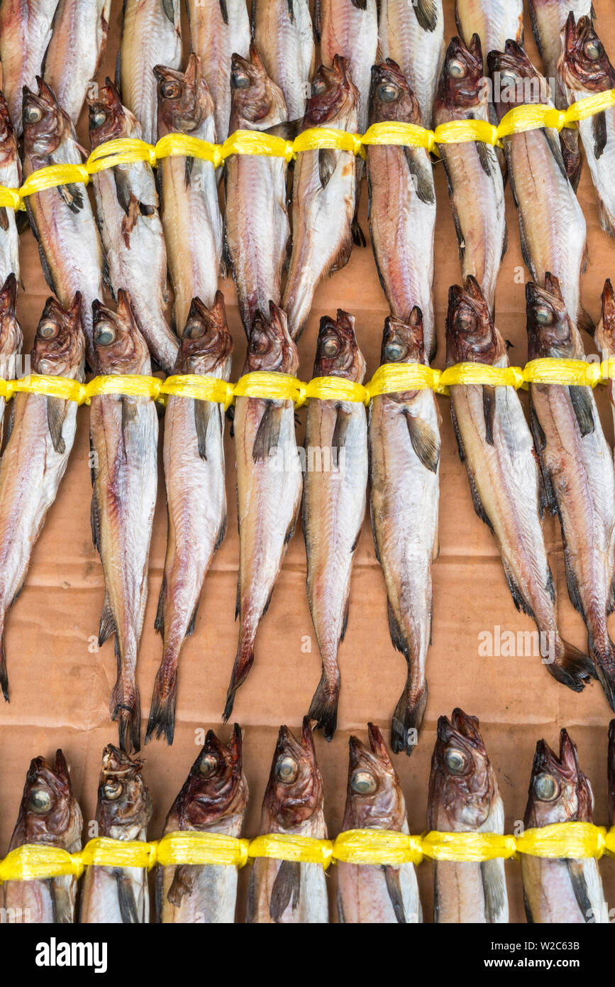 Dongdaemun market fish korea hi-res stock photography and images - Alamy