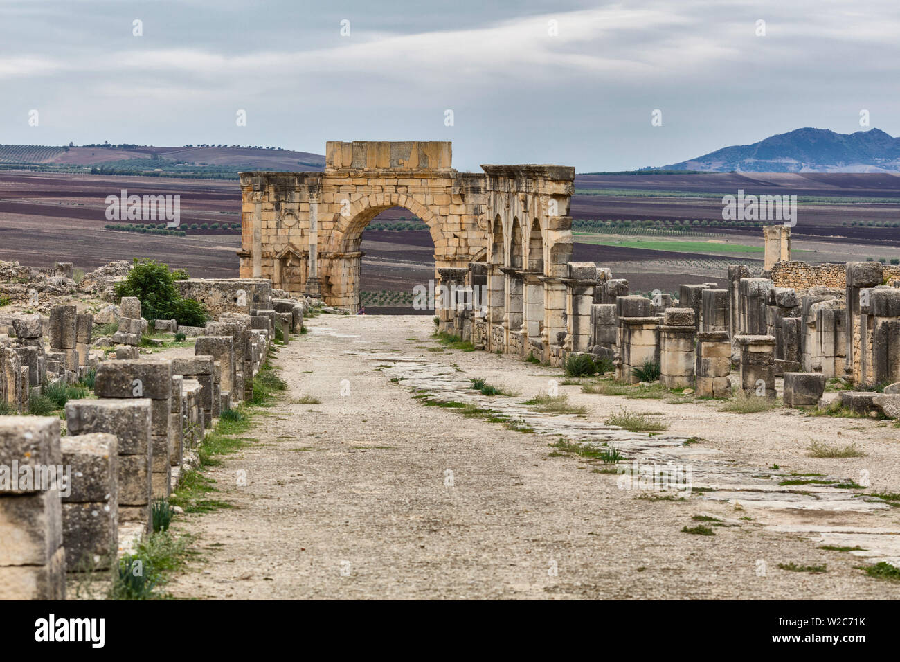 Arch of Caracalla, Roman ruins, Volubilis, Morocco Stock Photo - Alamy