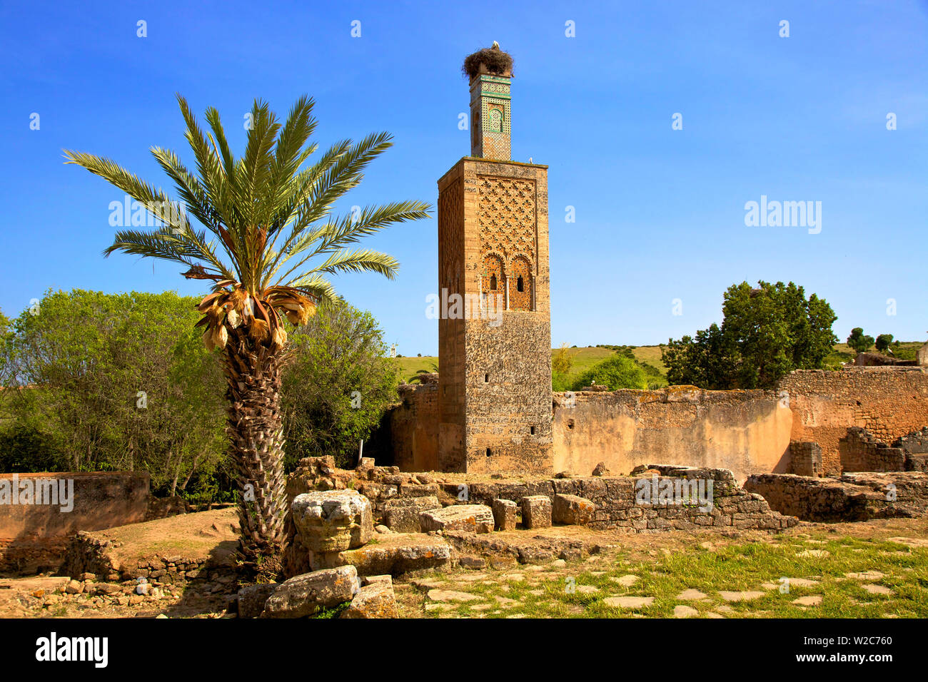 The Ruins of Chellah with Minaret, Rabat, Morocco, North Africa Stock ...