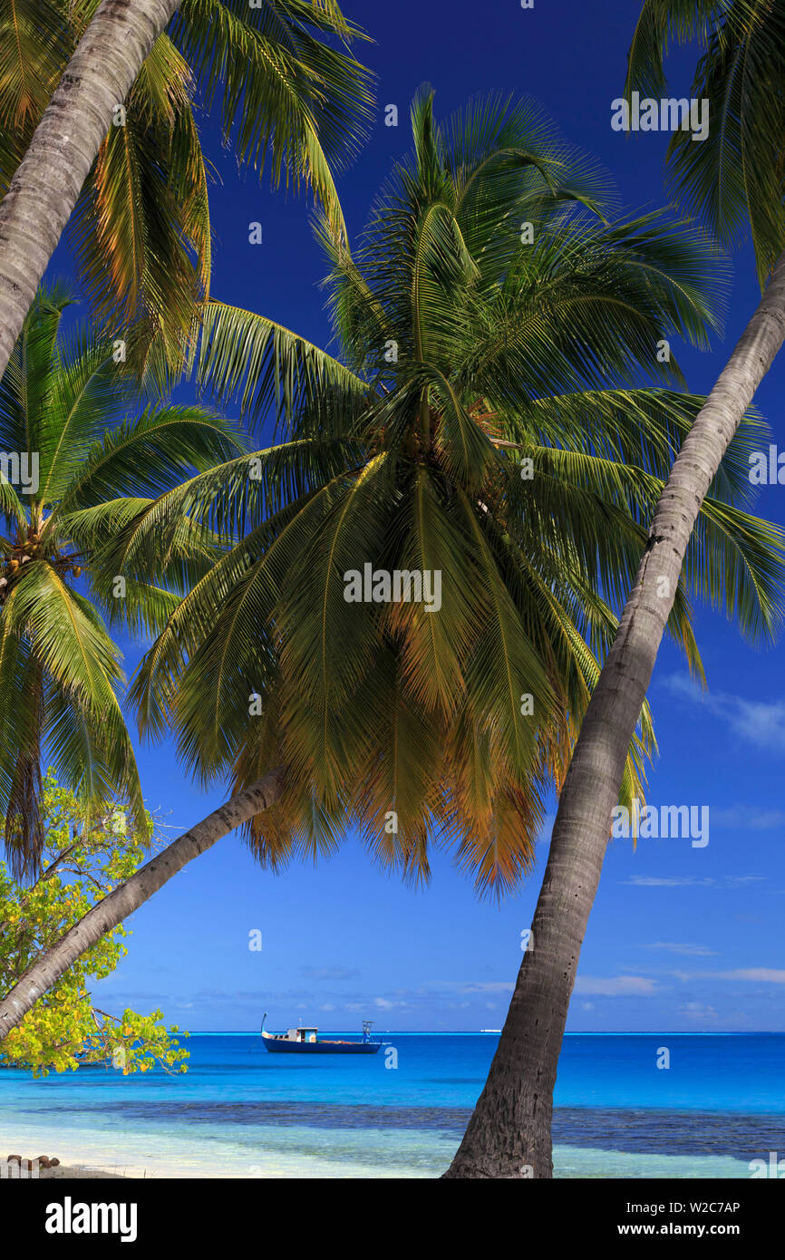 Maldives, South Ari Atoll, Mandhoo Island Stock Photo - Alamy