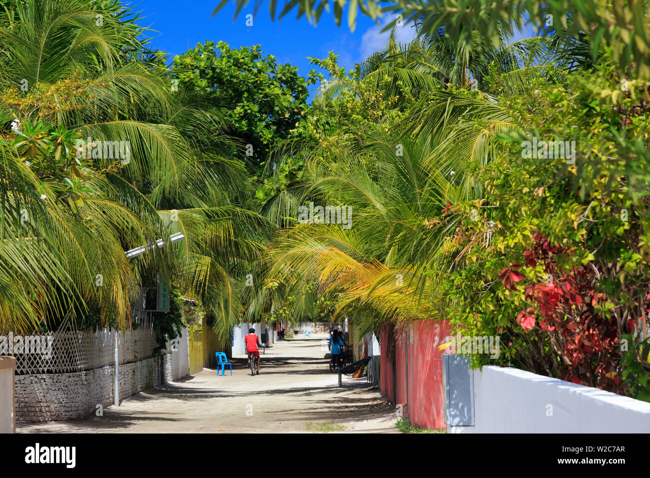 Maldives, South Ari Atoll, Mandhoo Island Stock Photo - Alamy