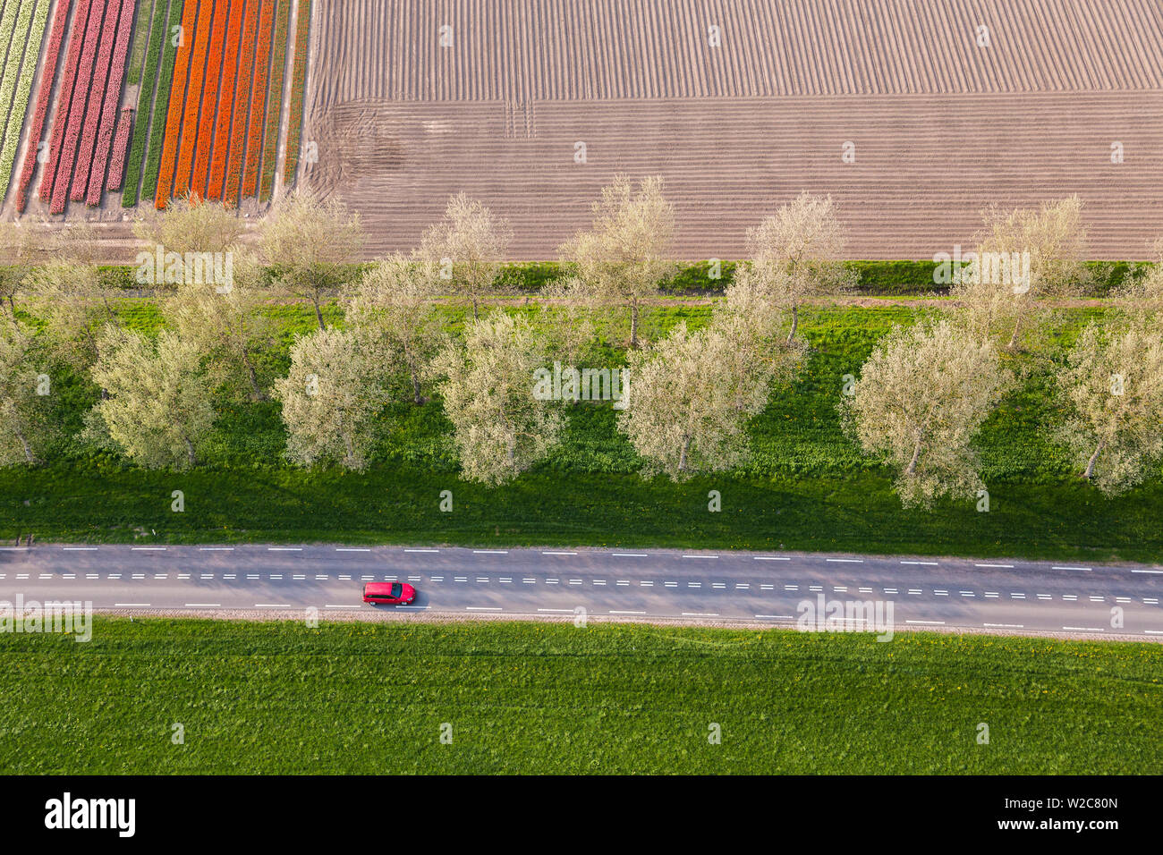 Tulip fields holland aerial hi-res stock photography and images - Alamy