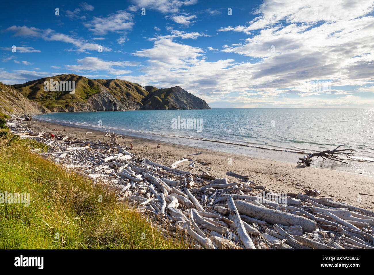 Mahia beach hi-res stock photography and images - Alamy