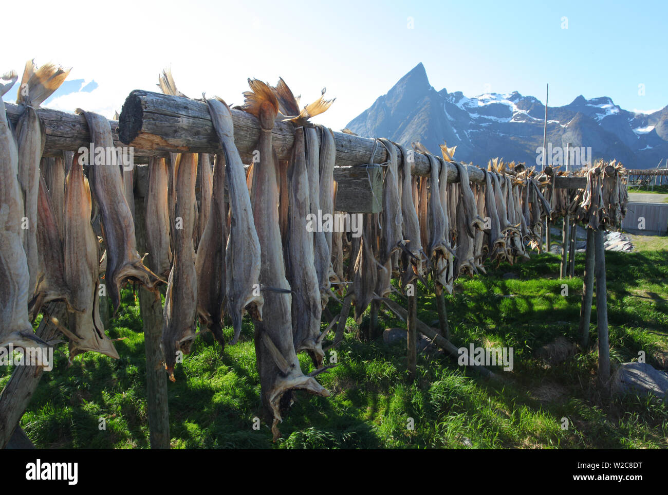 Dried cod outside house in hi-res stock photography and images - Alamy