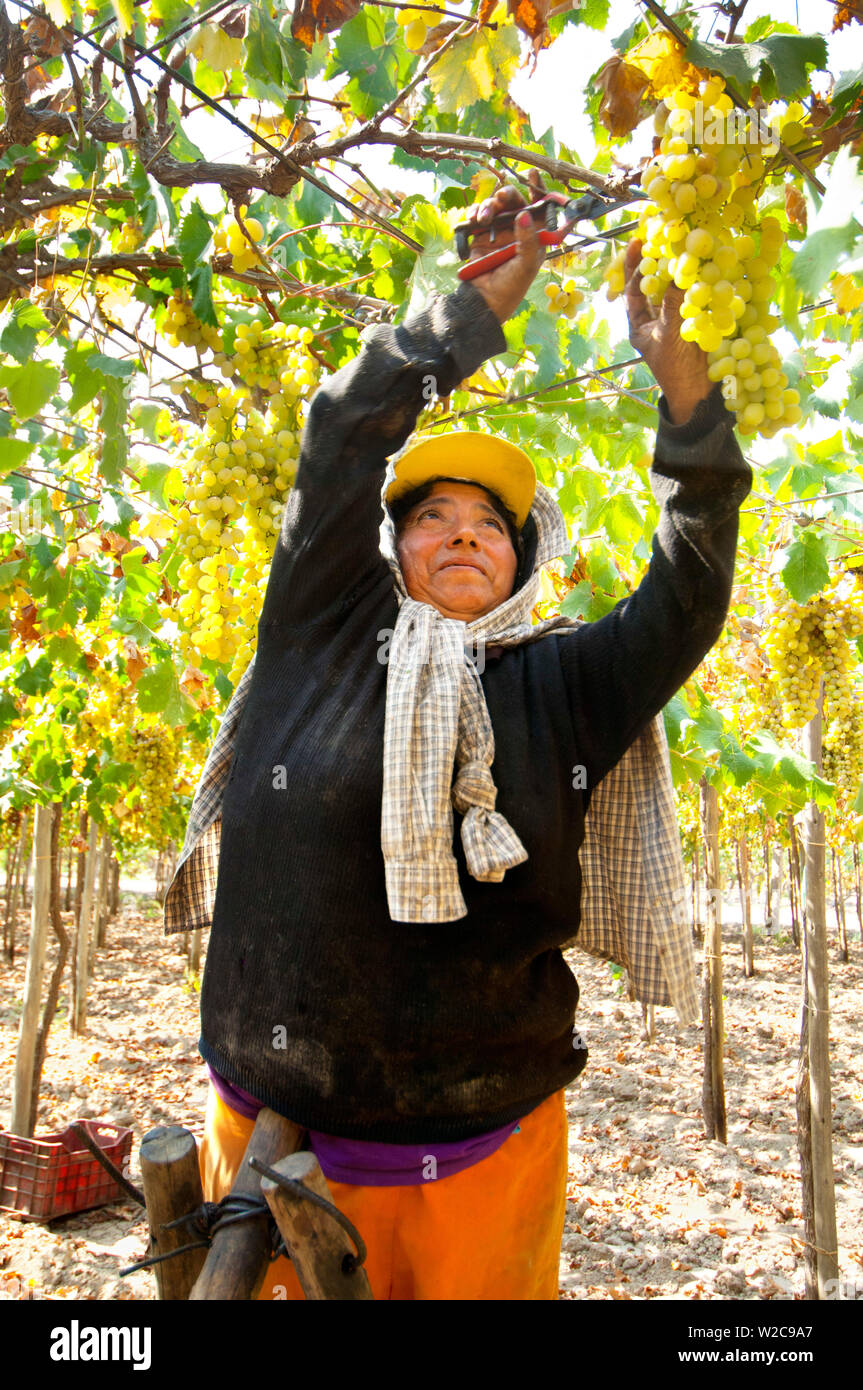 Valley of chincha hi-res stock photography and images - Alamy