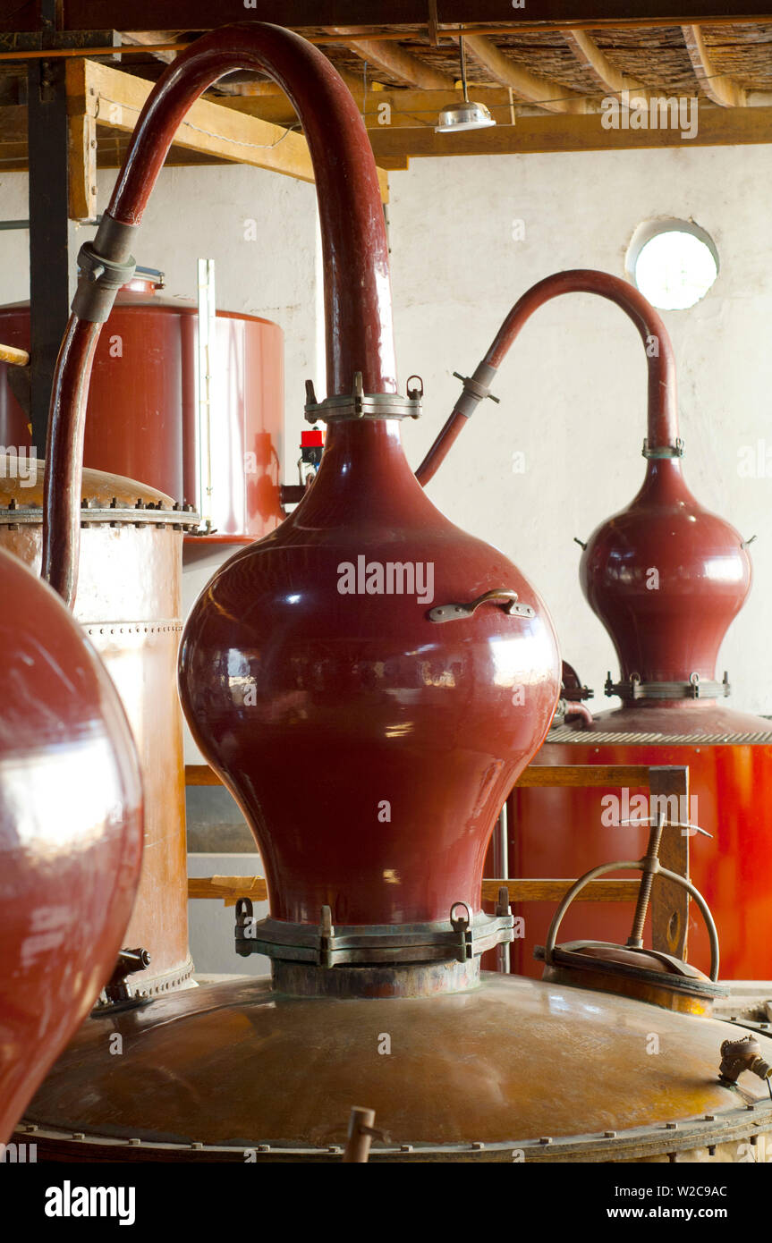 Pisco ica hi-res stock photography and images - Alamy