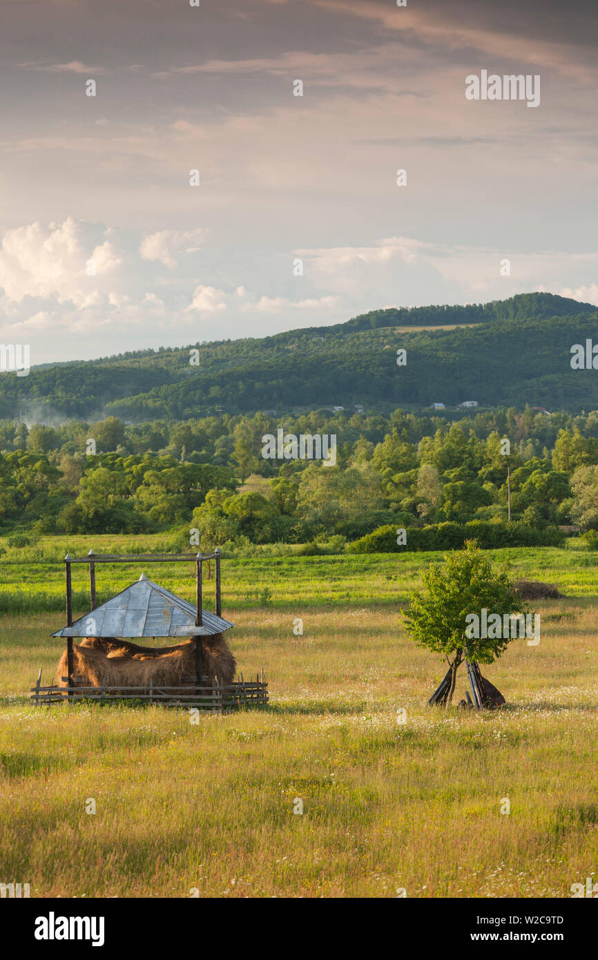 Romania, Maramures Region, Sarasau, haystack by the Ukranian frontier ...