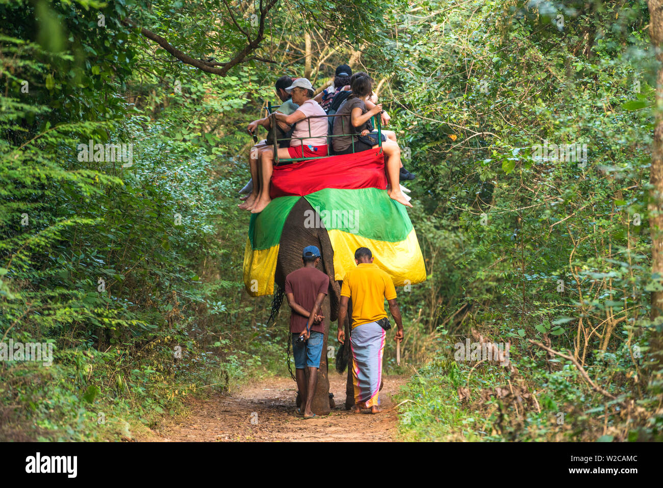 Elephant ride, Sigiriya, Sri Lanka Stock Photo - Alamy