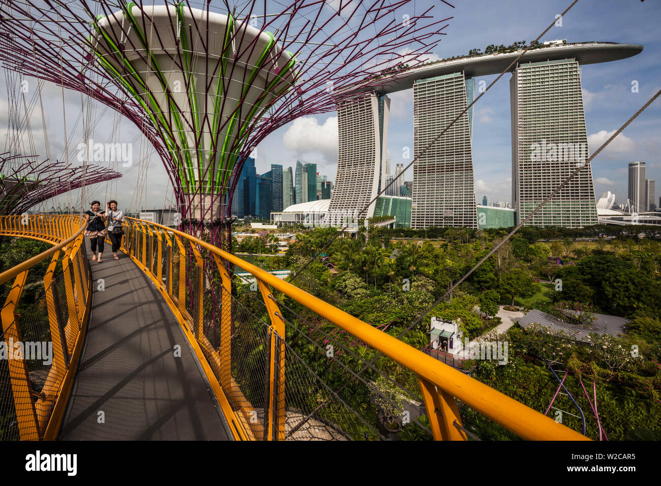 Singapore, Gardens By The Bay, Super Tree Grove, elevated walkway view ...