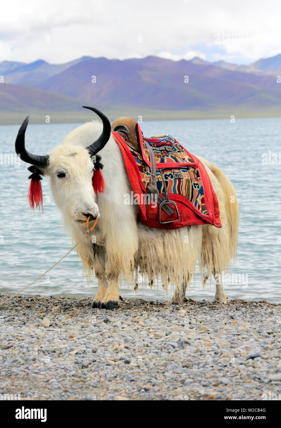 Namtso Lake (Nam Co), Tibet, China Stock Photo - Alamy