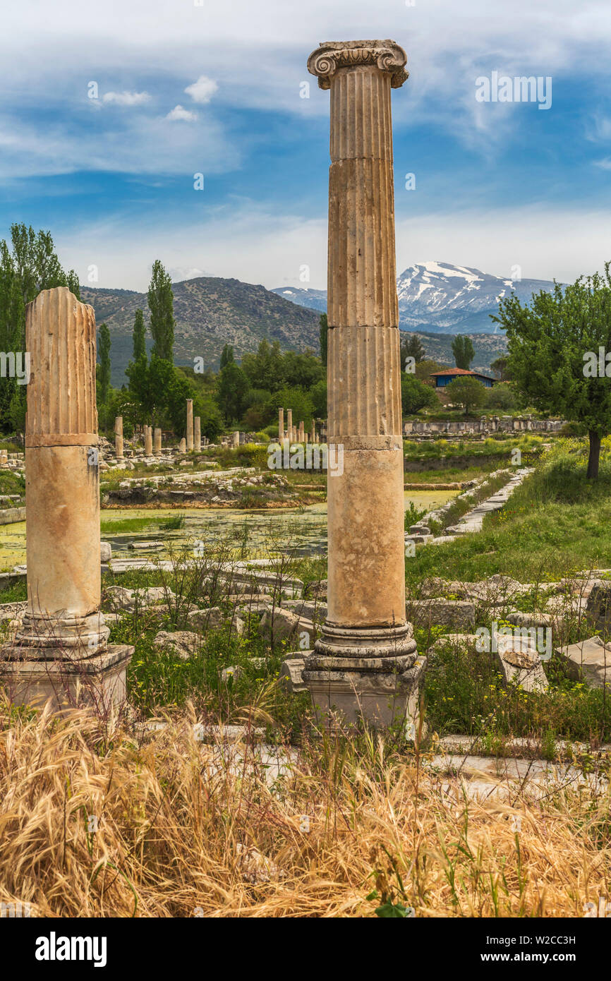Ruins of ancient Aphrodisias, Aydin Province, Turkey Stock Photo - Alamy