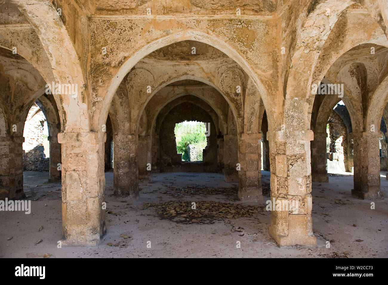 The Prayer Hall of the Great Mosque on Kilwa Kisiwani, built circa 10th ...