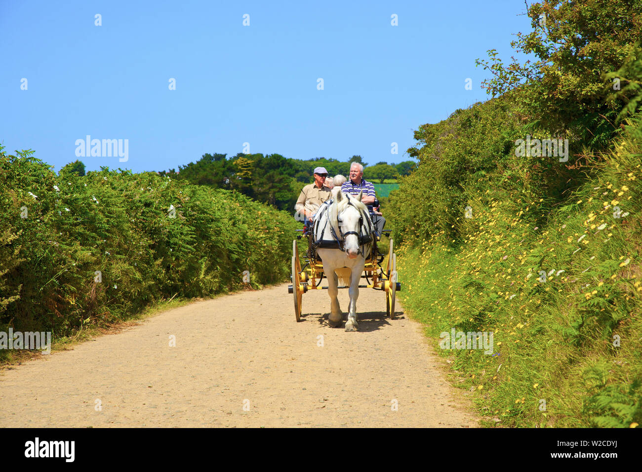 Sark carriage horse hi-res stock photography and images - Alamy