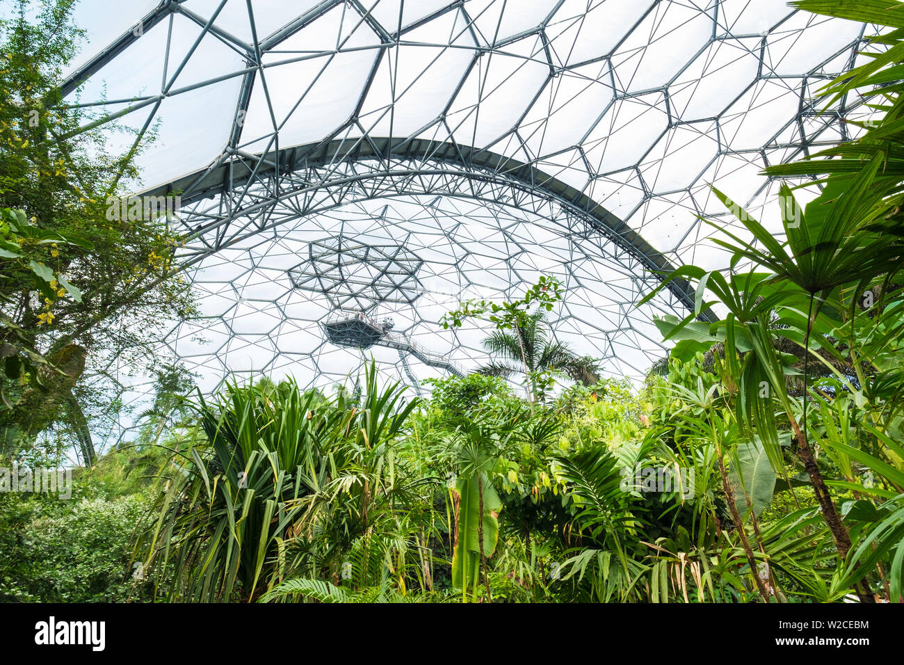 Rainforest biome, Eden Project, Cornwall, England, UK Stock Photo - Alamy