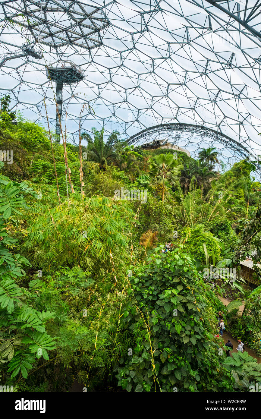Rainforest biome hi-res stock photography and images - Alamy