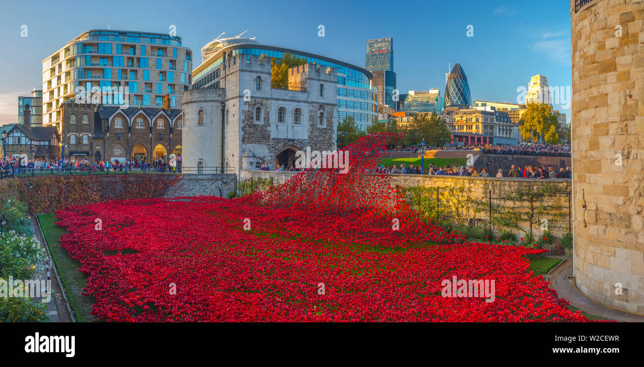 England, London, Tower of London, Blood Swept Lands and Seas of Red by ...