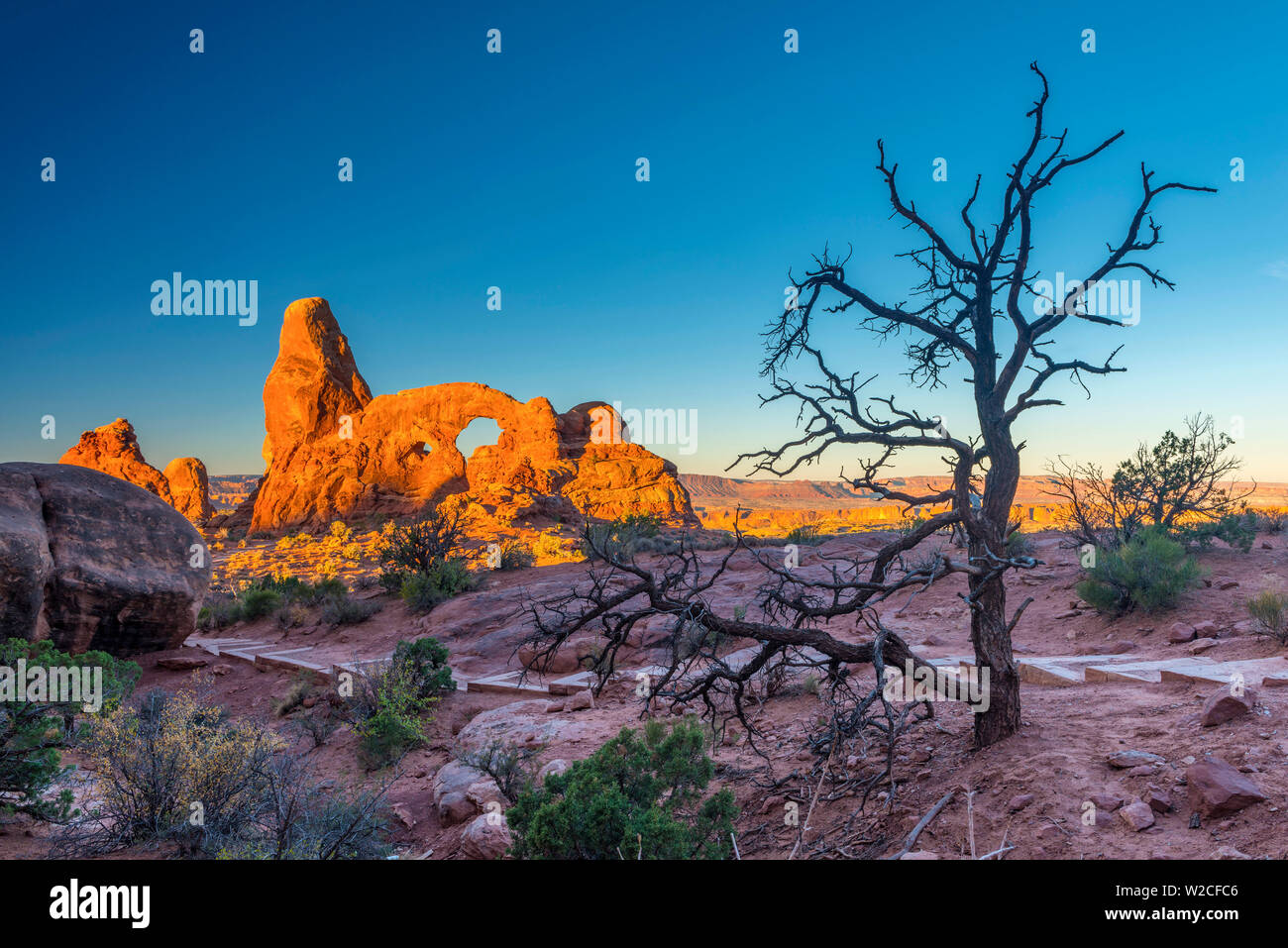 Windows turret arch hi-res stock photography and images - Alamy
