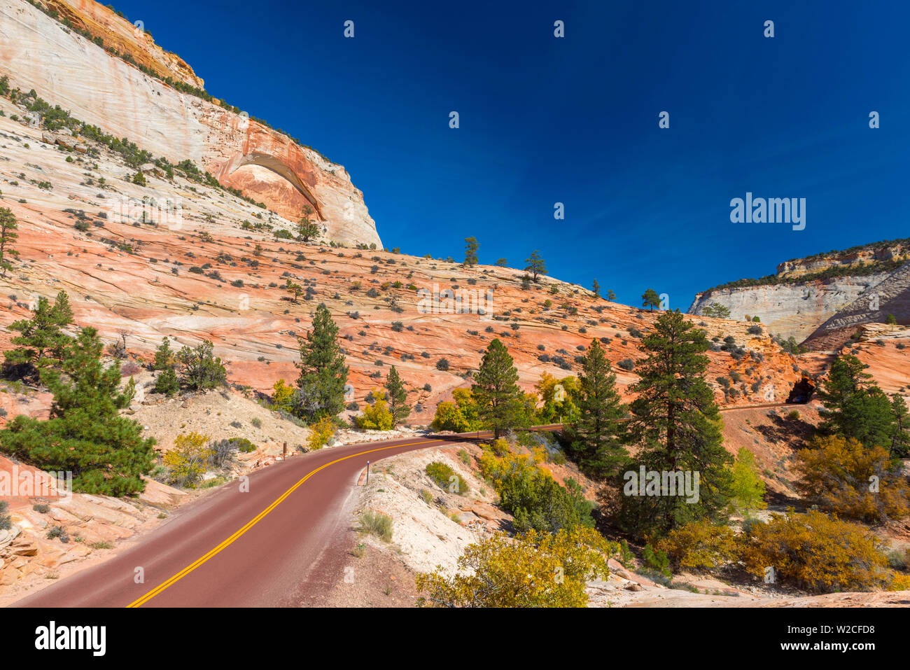 USA, Utah, Zion National Park, Highway 9, Zion Park Boulevard Stock ...