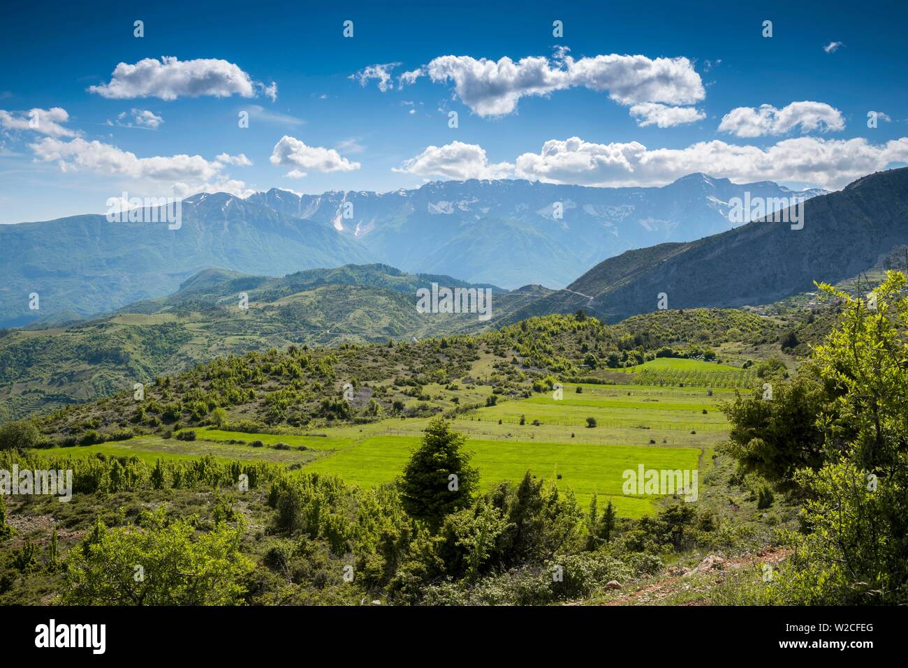 Leskovik hi-res stock photography and images - Alamy