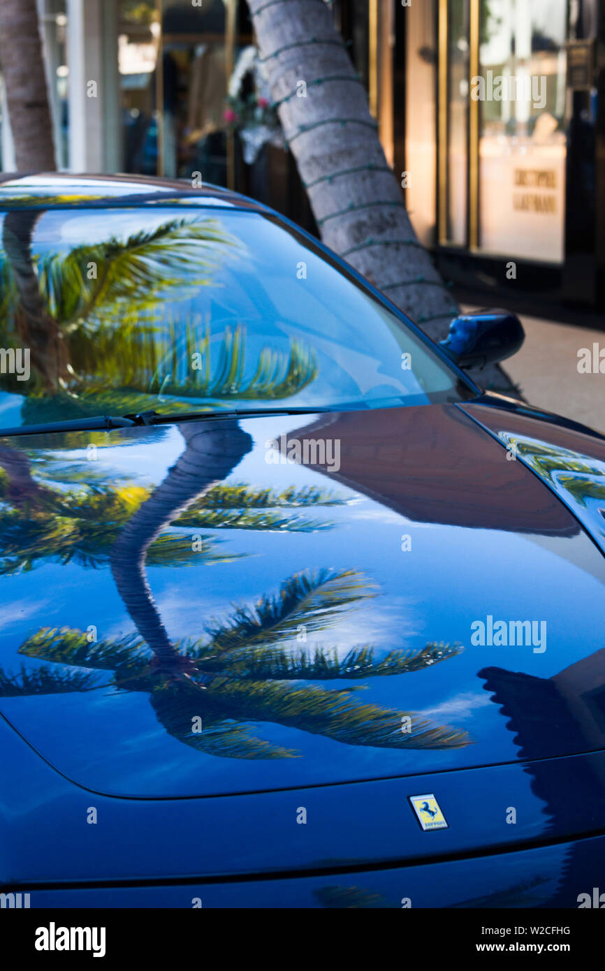 USA, Florida, Palm Beach, Worth Avenue, palm tree reflected in Ferrari ...