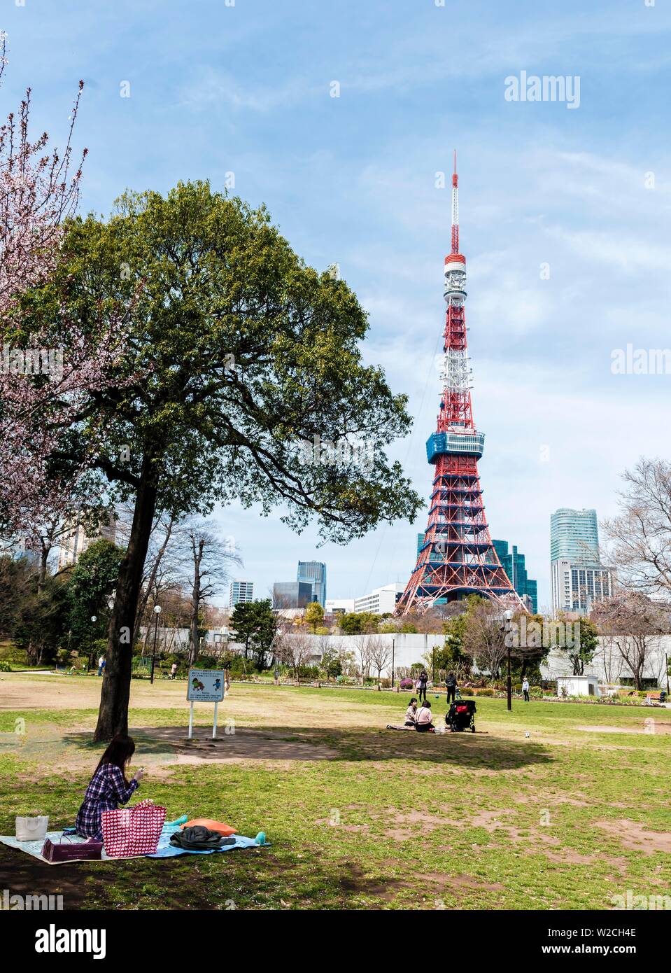 Japanese picnic in Minatokushiba Park, back Tokyo Tower, Tokyo, Japan ...