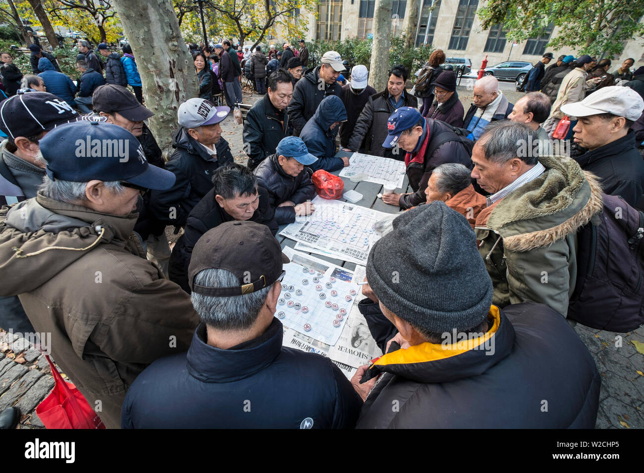 Columbus Park, China Town, Lower Manhattan, New York City, New York ...