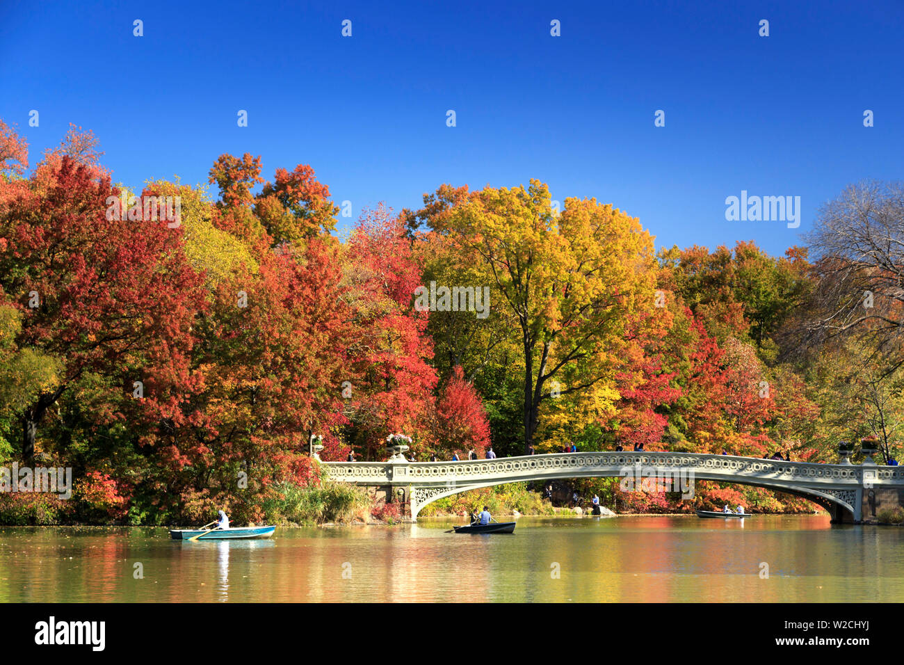 Trees north side city hi-res stock photography and images - Alamy