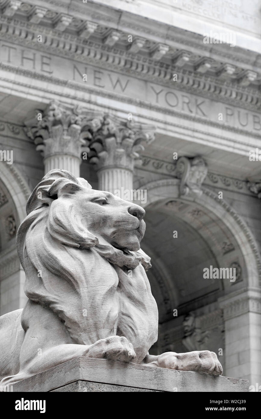 USA, New York, New York City, Manhattan, National Public Library Stock ...