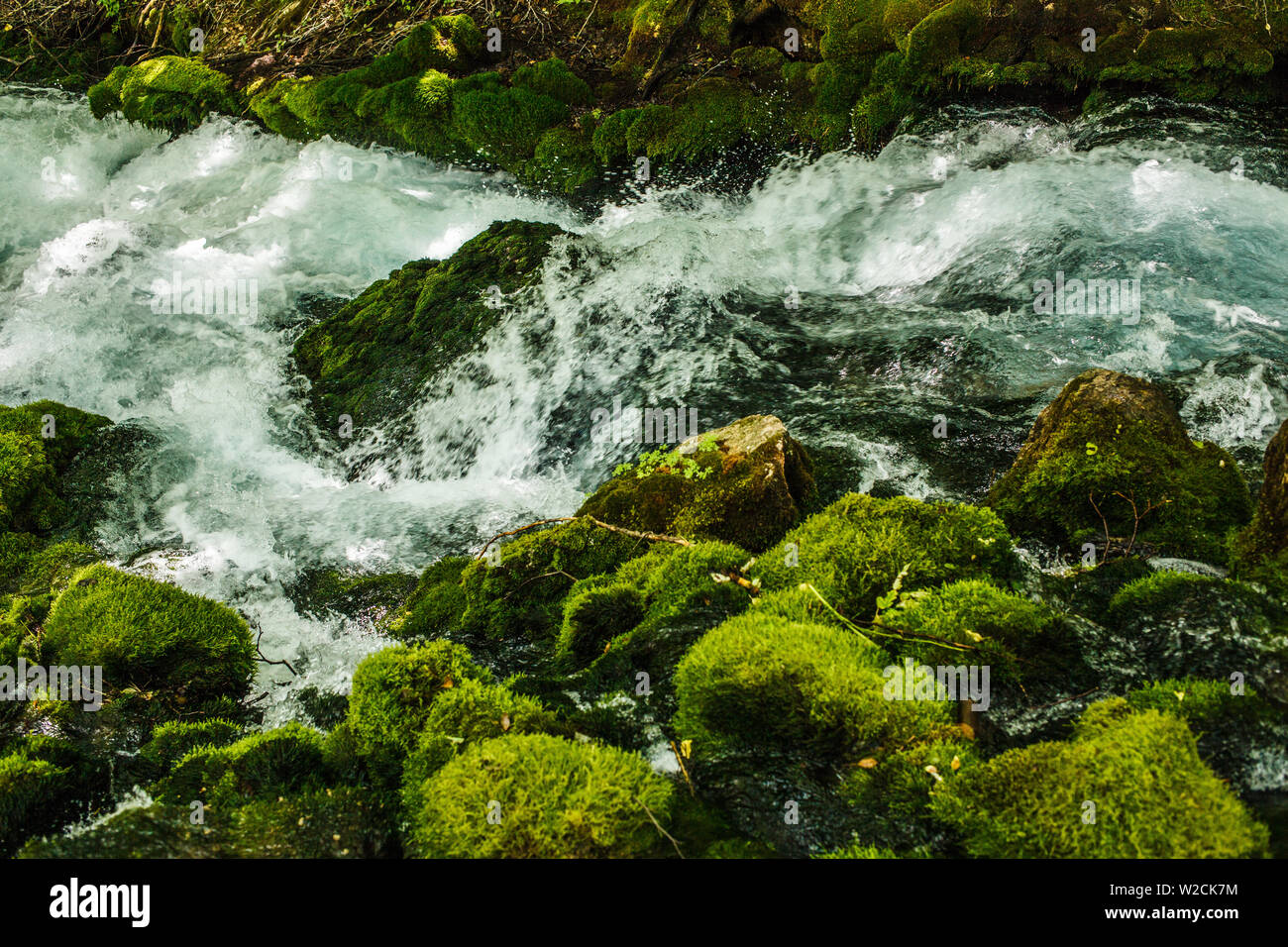 Fast flowing river landscape forests hi-res stock photography and ...