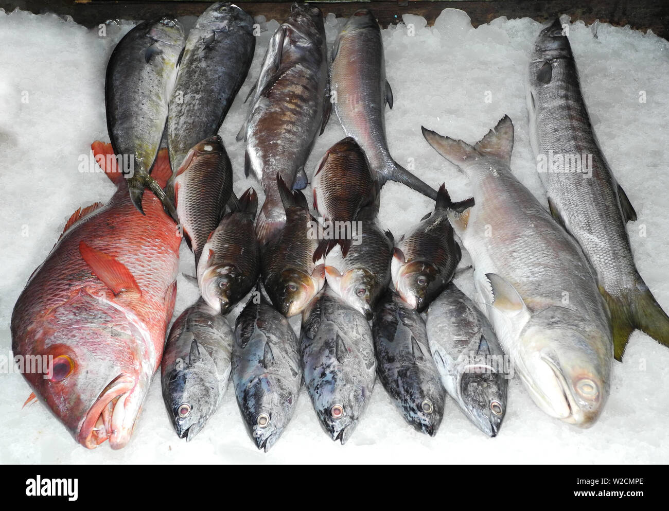 Fort cochin fish market india hi-res stock photography and images - Alamy