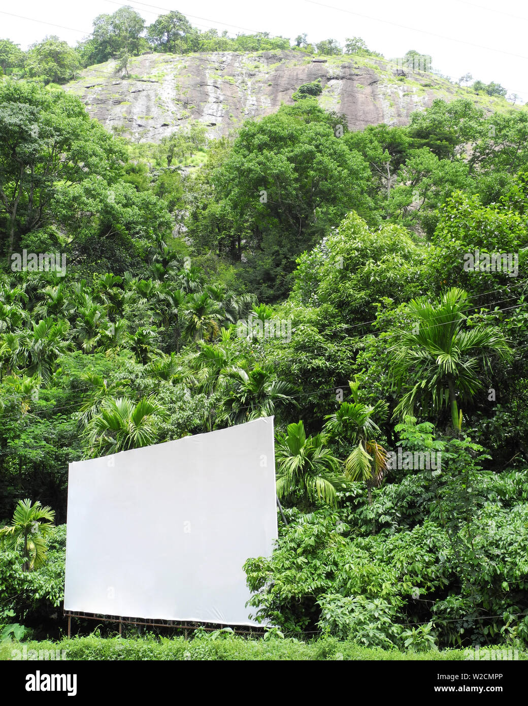 White advertising panel in the forest in Kerala Kochi Stock Photo - Alamy