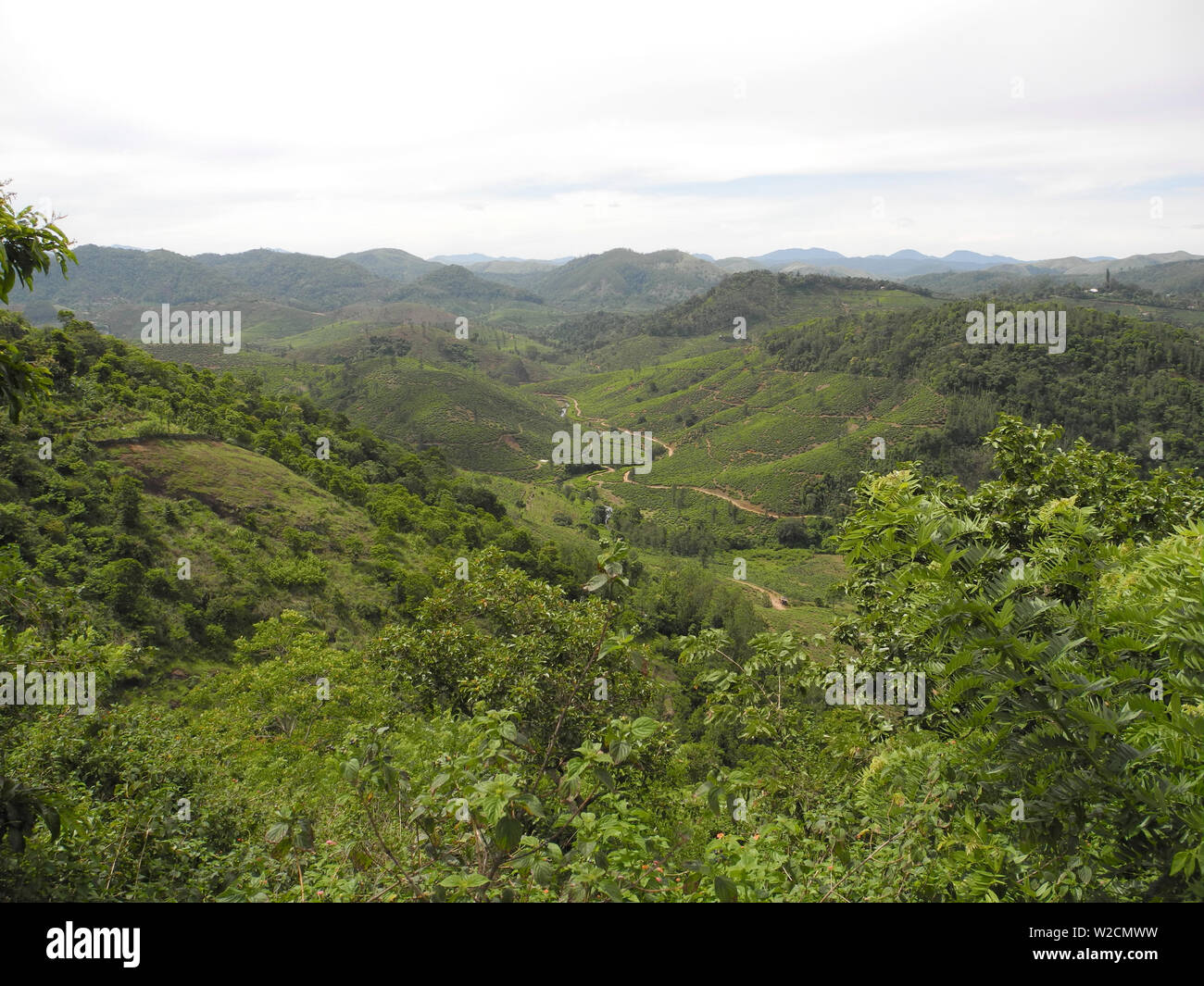 Green valley between hills in Kerala Kochi Stock Photo - Alamy