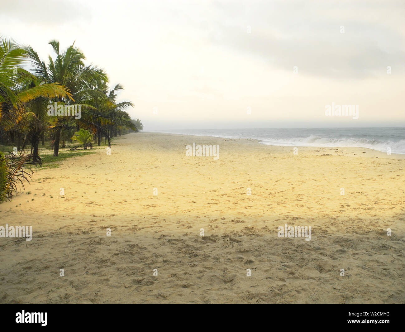 Coast of the Arabian Sea in Kerala, Kochi Stock Photo - Alamy