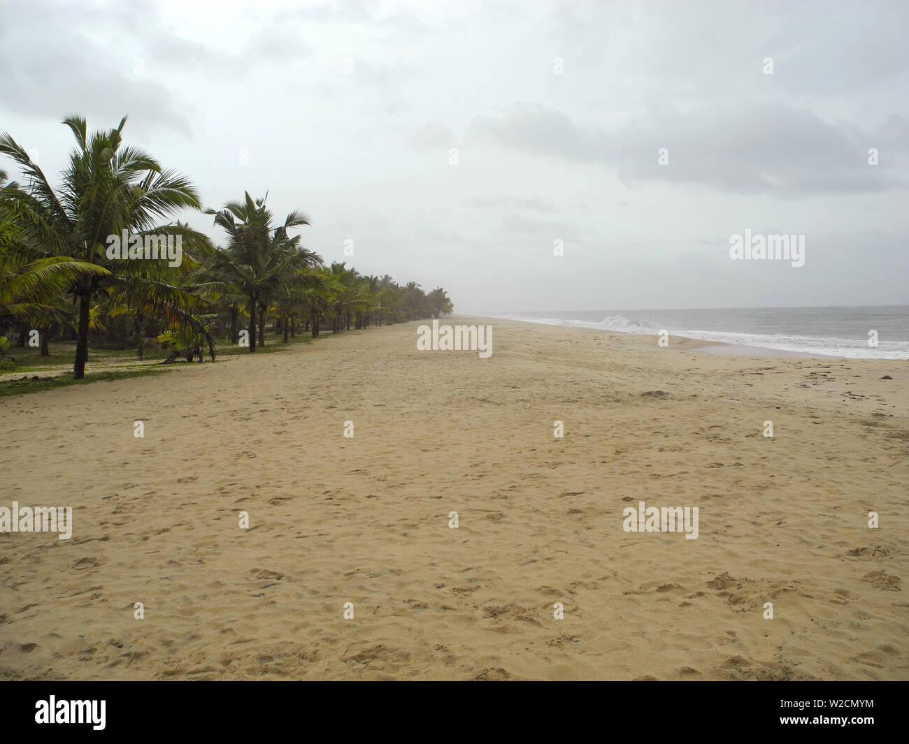 Coast of the Arabian Sea in Kerala, Kochi Stock Photo - Alamy