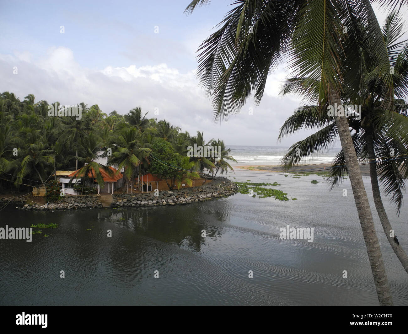 The river flows into the ocean on the background of water, sky, coconut ...