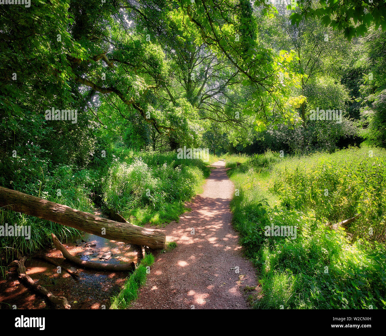 Peaceful water meadow scene hi-res stock photography and images - Alamy
