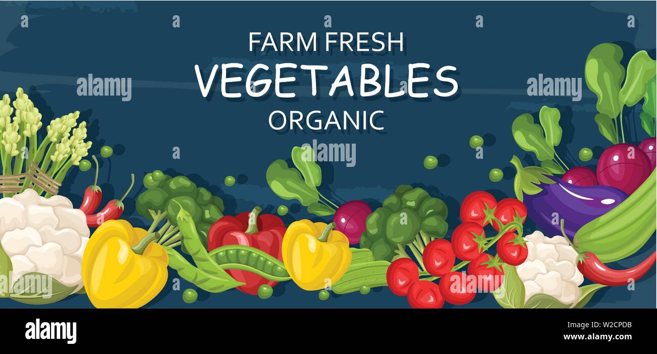 Farm fresh vegetables Vector banner. Store shop grocery detailed ...