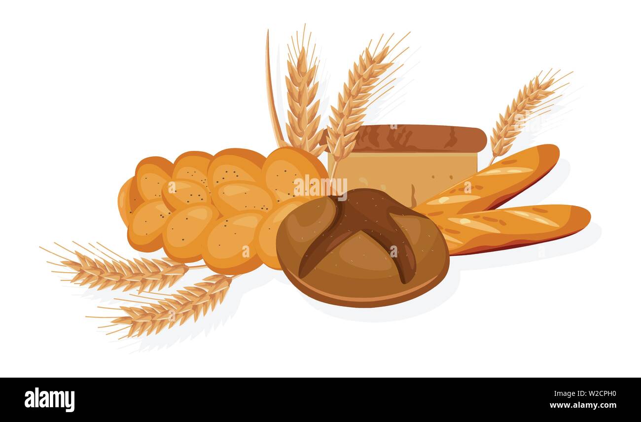 Bakery Vector. Bread, bread roll, croissant Front view detailed ...