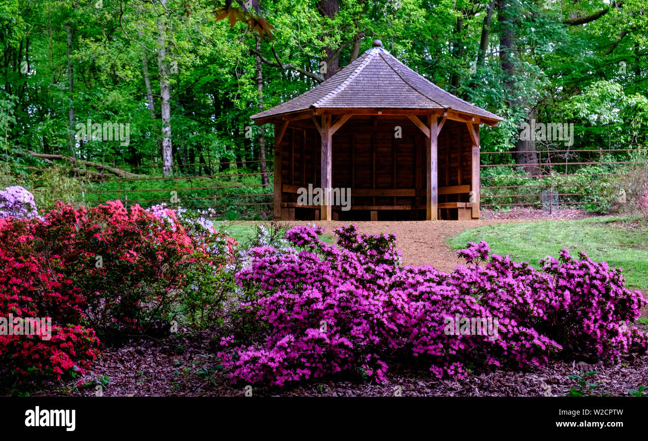 Shrubs of purple & red flowers with wooden park gazebo and trees in ...