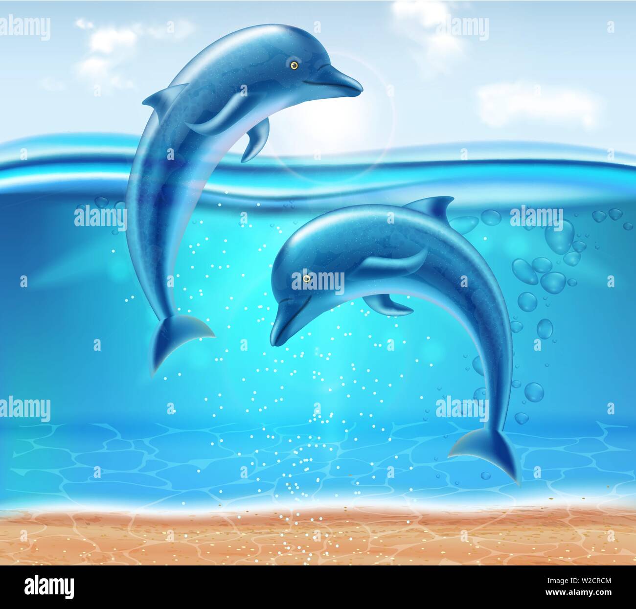 Dolphins jumping Vector realistic. Beautiful couple dolphine sea ...