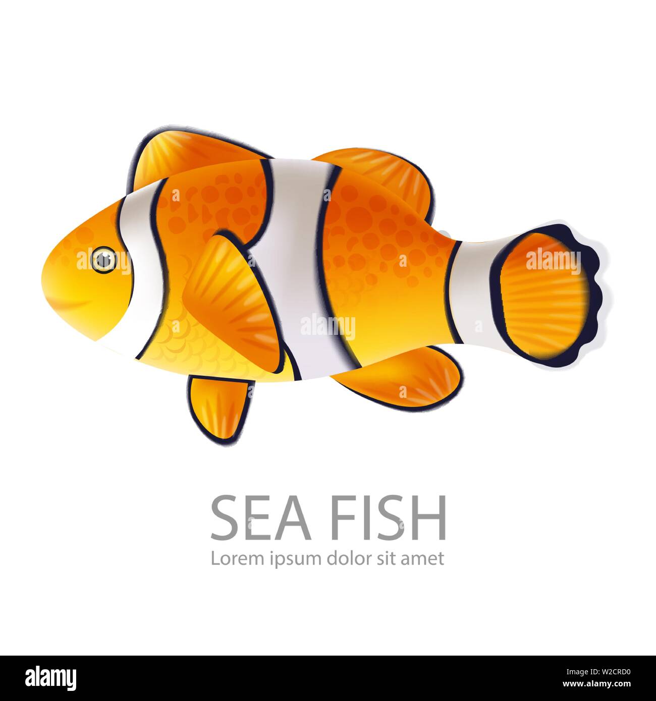 Gold fish Vector realistic isolated on white. Detailed marine life fish ...