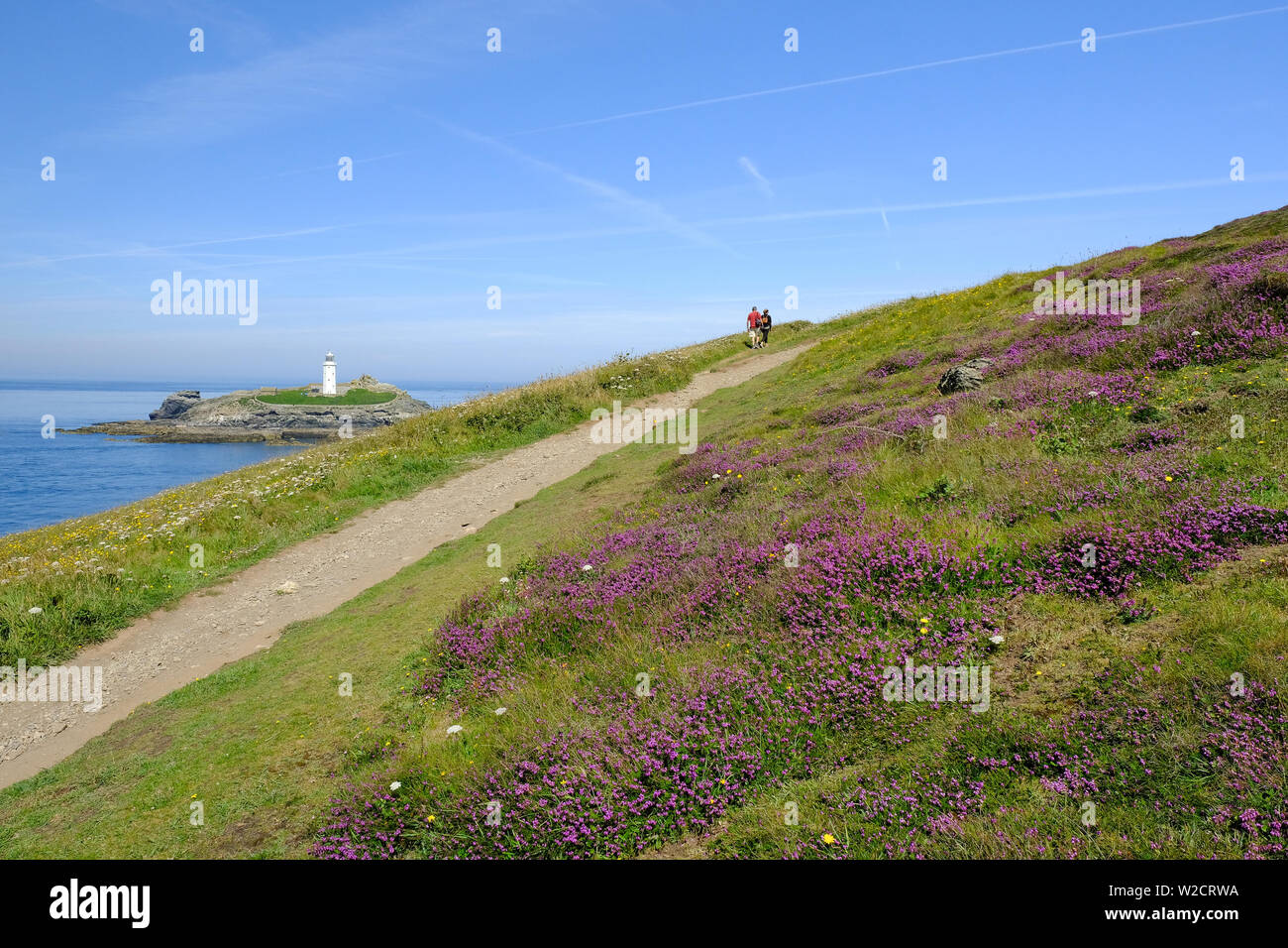 The South West Coast Path at Godrevy Stock Photo - Alamy