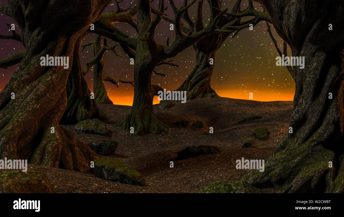 Fantasy Forest Magic Dark Night. Halloween dead mysterious forest trees ...