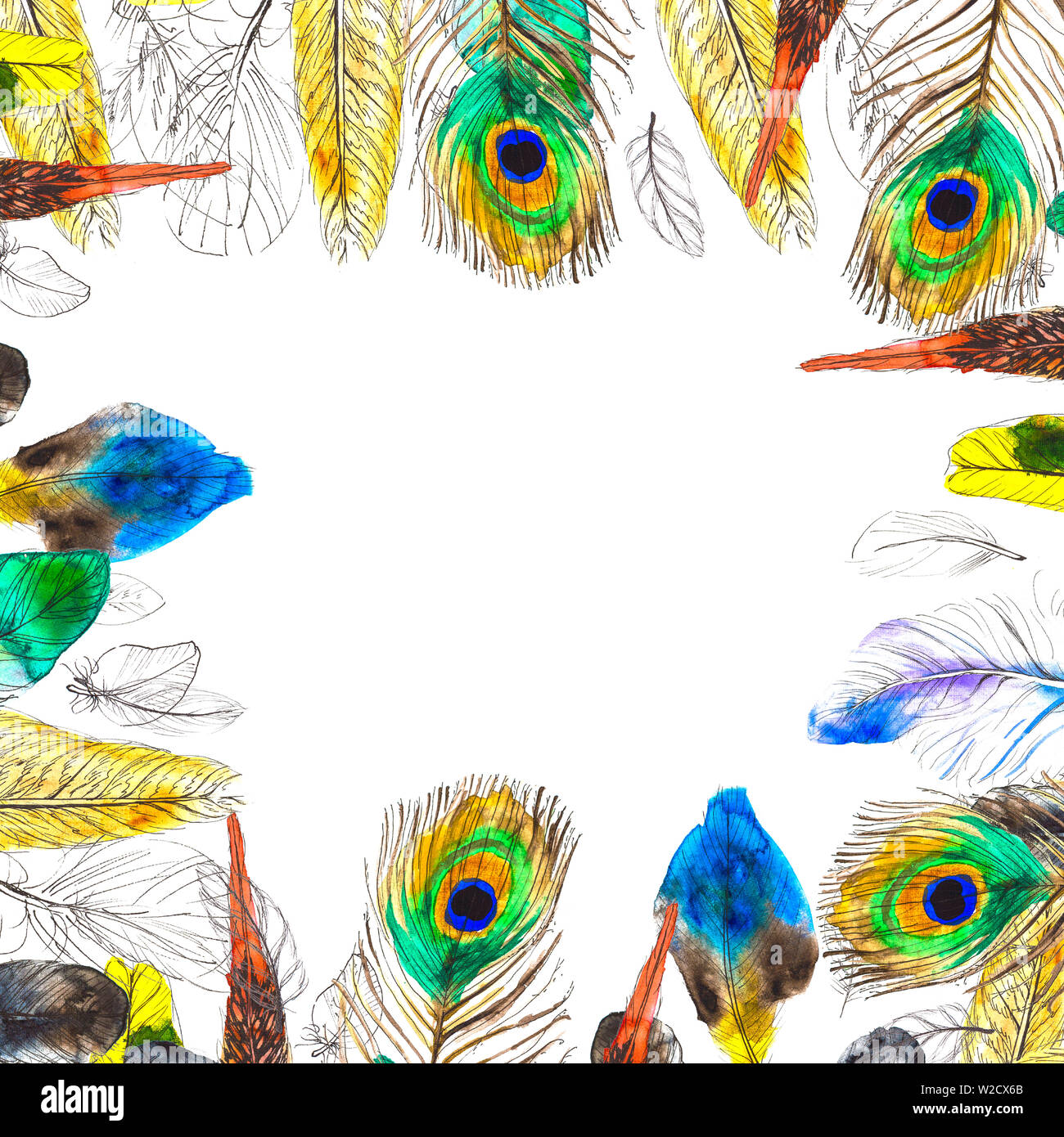 Watercolor frame with colorful feathers on white background Stock Photo ...