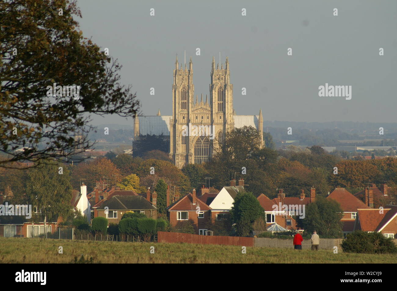 Highgate common hi-res stock photography and images - Alamy
