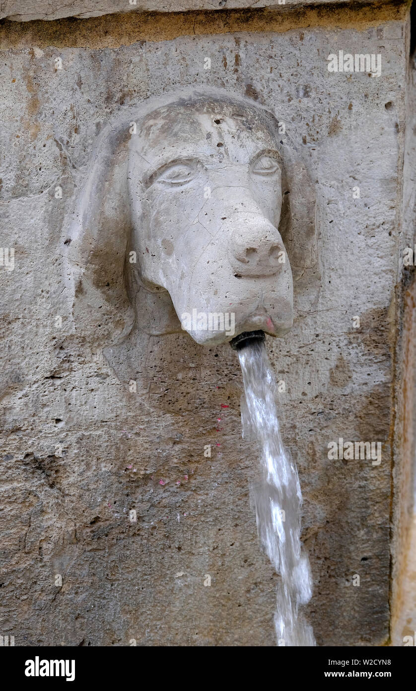 stone dog face fountain with flowing water spout, cahors, lot valley ...