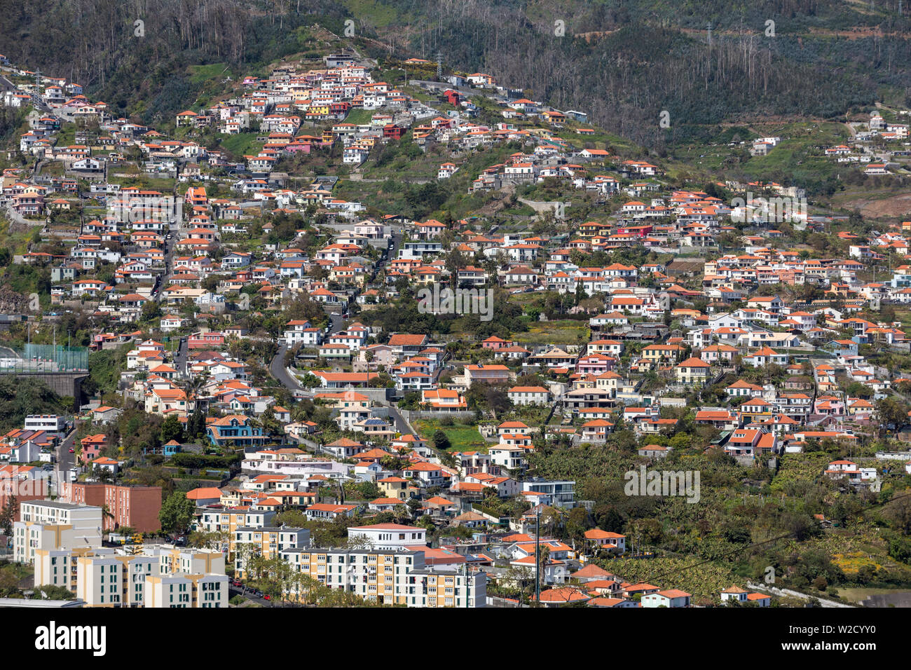 Typical terrace architecture on the steep slopes of Funchal on the ...